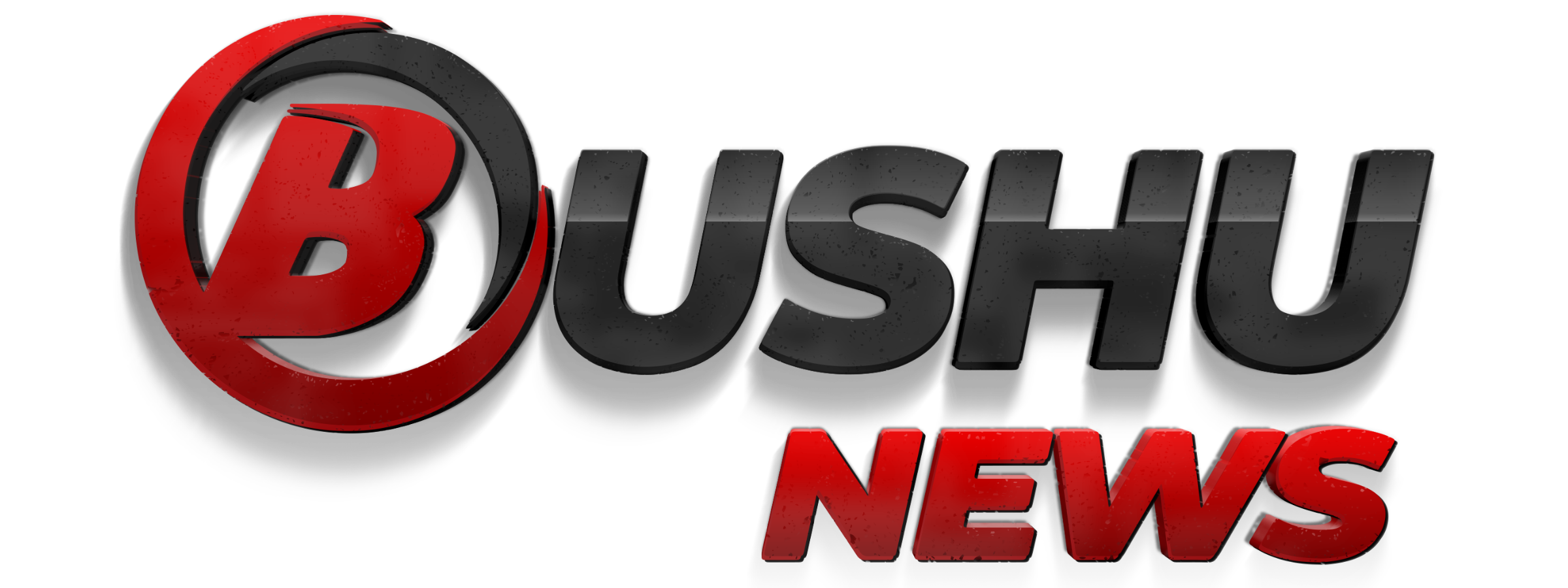 Warum wurde das Portal Bushu.ch ins Leben gerufen - Bushu News - das ...